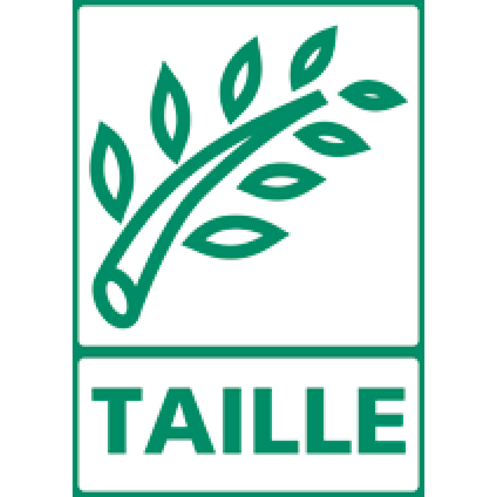 Panneau Taille avec pictogramme